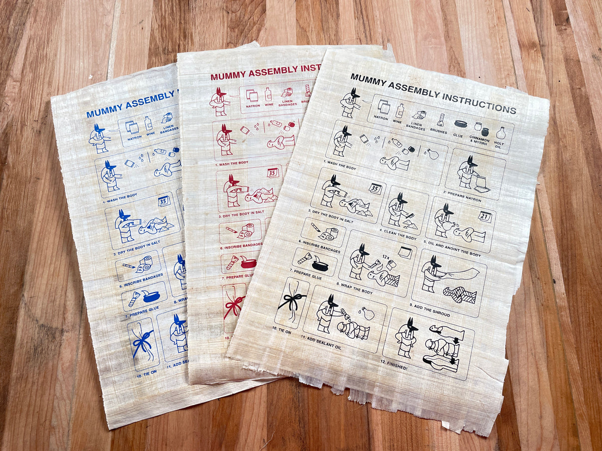 Papyrus Mummy Assembly Instructions Poster – The Thought Emporium