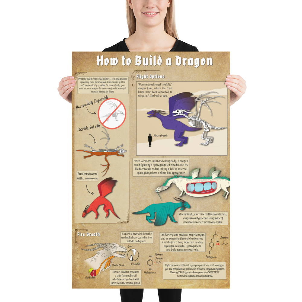How to Build a Dragon Poster – The Thought Emporium